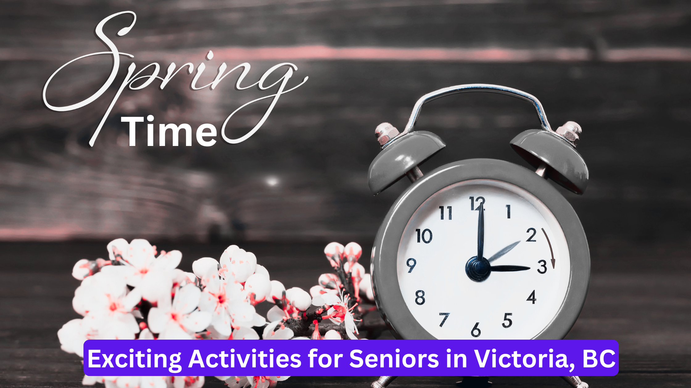 Springtime Wonders: Exciting Activities for Seniors in Victoria, BC - Luxcare Senior Care